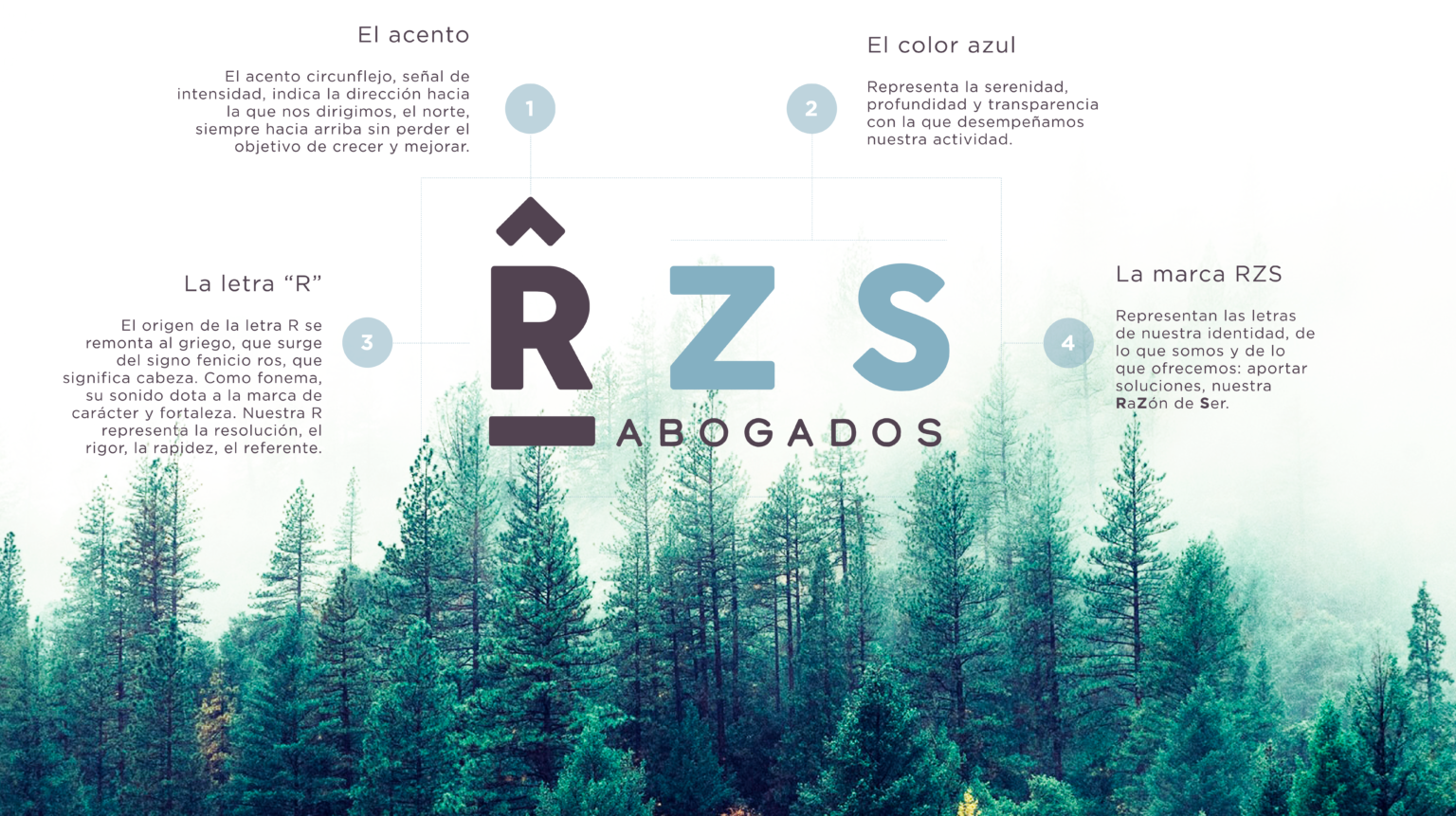 Logo RZS | RZS Abogados | Despacho de Abogados expertos en ti